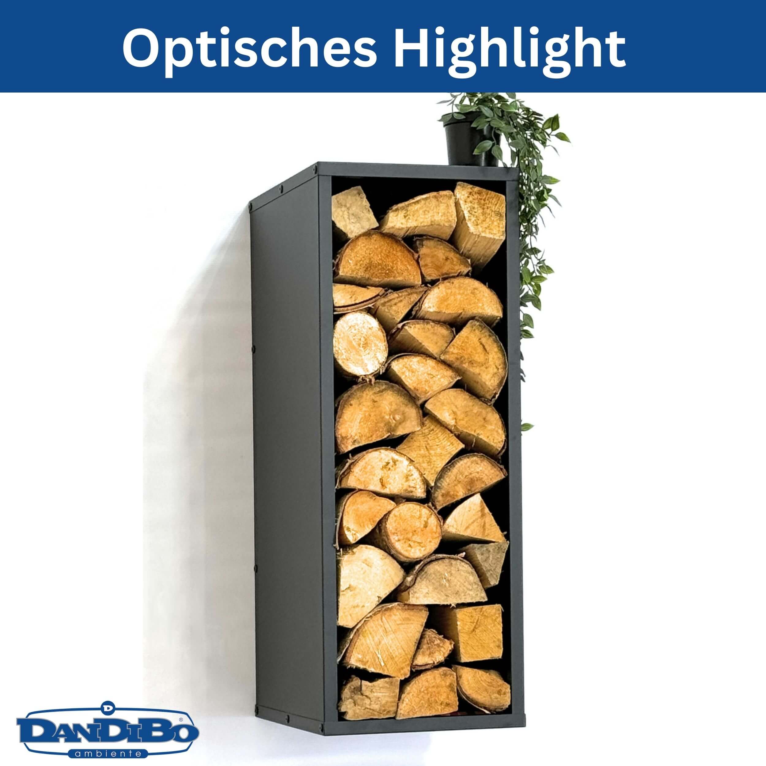 DanDiBo Firewood rack wall indoor metal black 80 cm with back wall wall ...